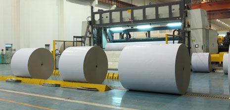 Coated White Top Test Liner - Paper - Century Sunshine