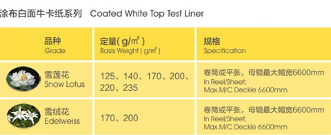 Coated White Top Test Liner - Paper - Century Sunshine